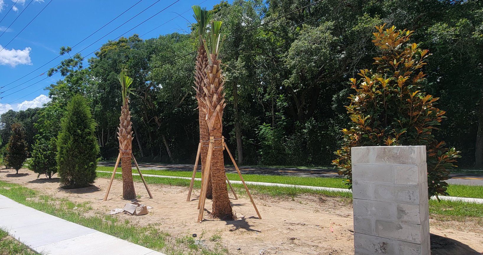 What is Landscape Construction?