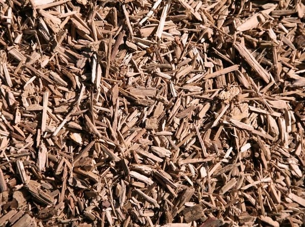 What is Mulching and When is the Best Time to Mulch?