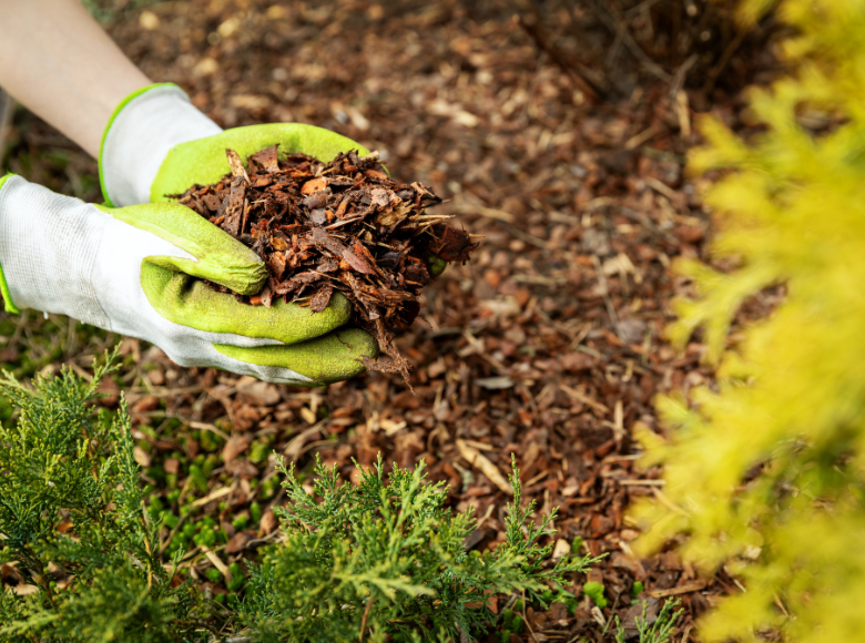 What is Mulching and When is the Best Time to Mulch?