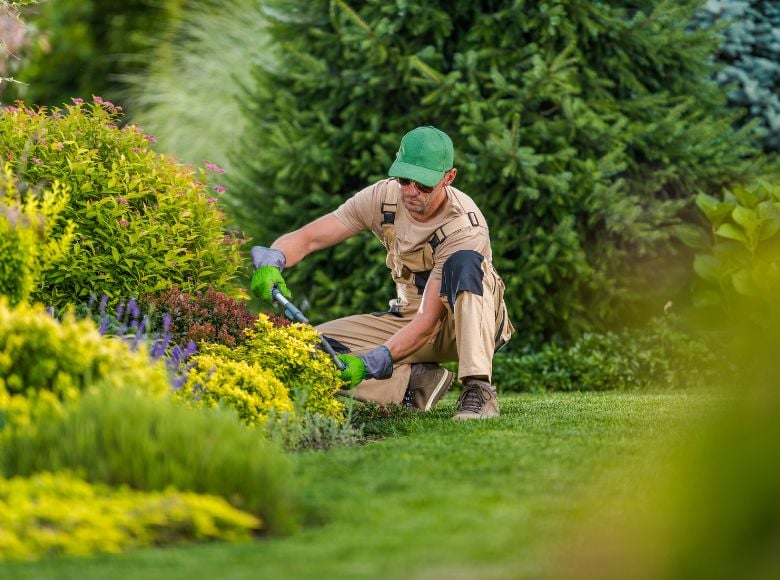 Landscape Invaders: Invasive Plant Protection
