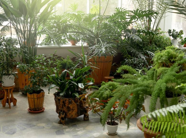 Principles of Landscape Design