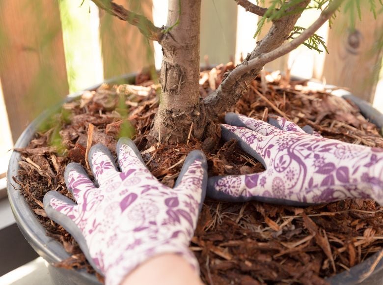 What is Mulching and When is the Best Time to Mulch?