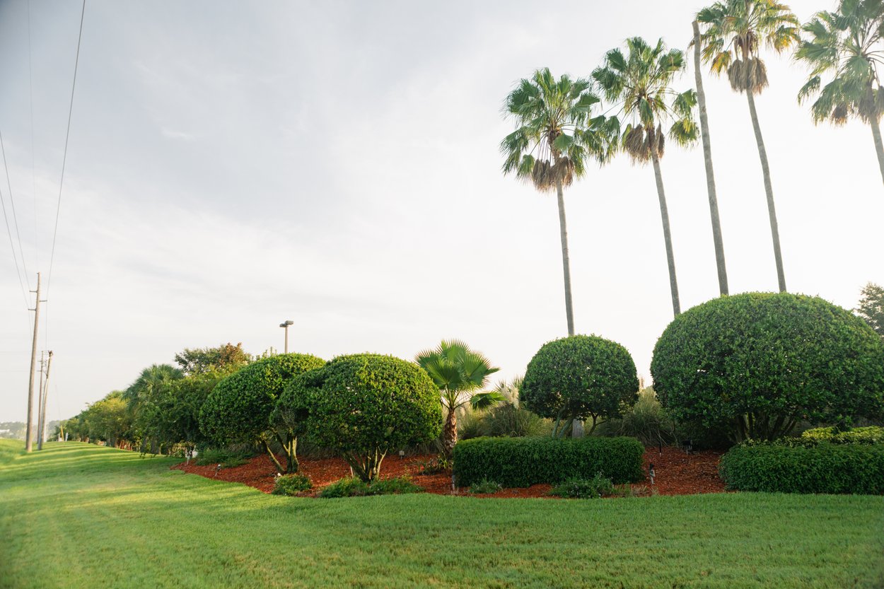 HOA Landscaping Schedules and Guidelines
