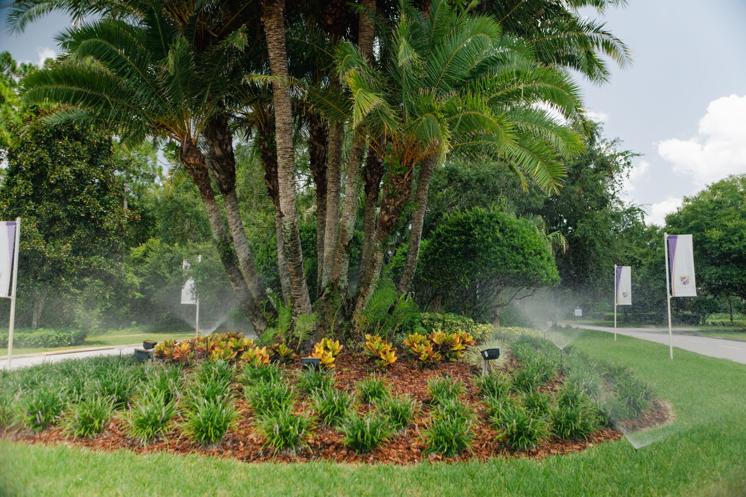 HOA Landscaping Schedules and Guidelines