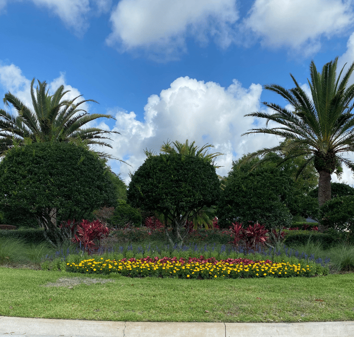 Tips for the Perfect Florida Landscape