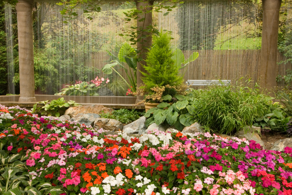 Water, Water Everywhere: Guide to Water Features